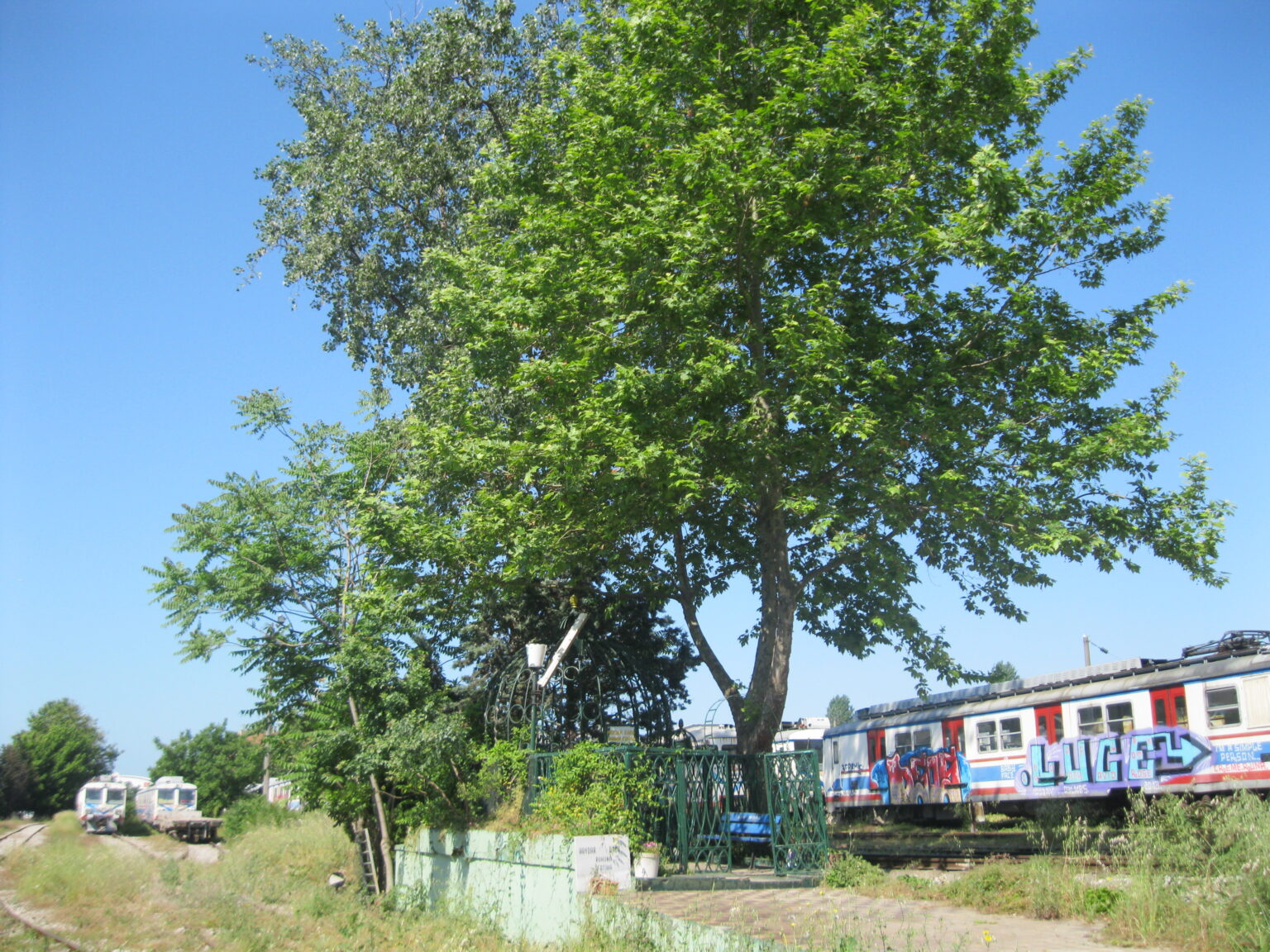 The Turkish Moustache – Message in a Mo - Inside Out In Istanbul