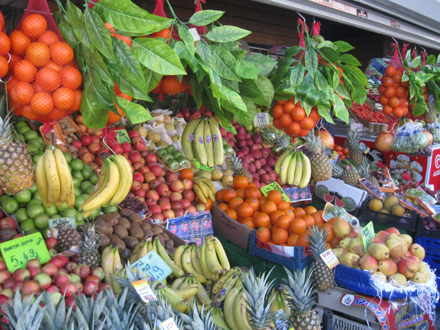 Circumcision in Turkey: The First Cut is the Deepest - Inside Out In ...