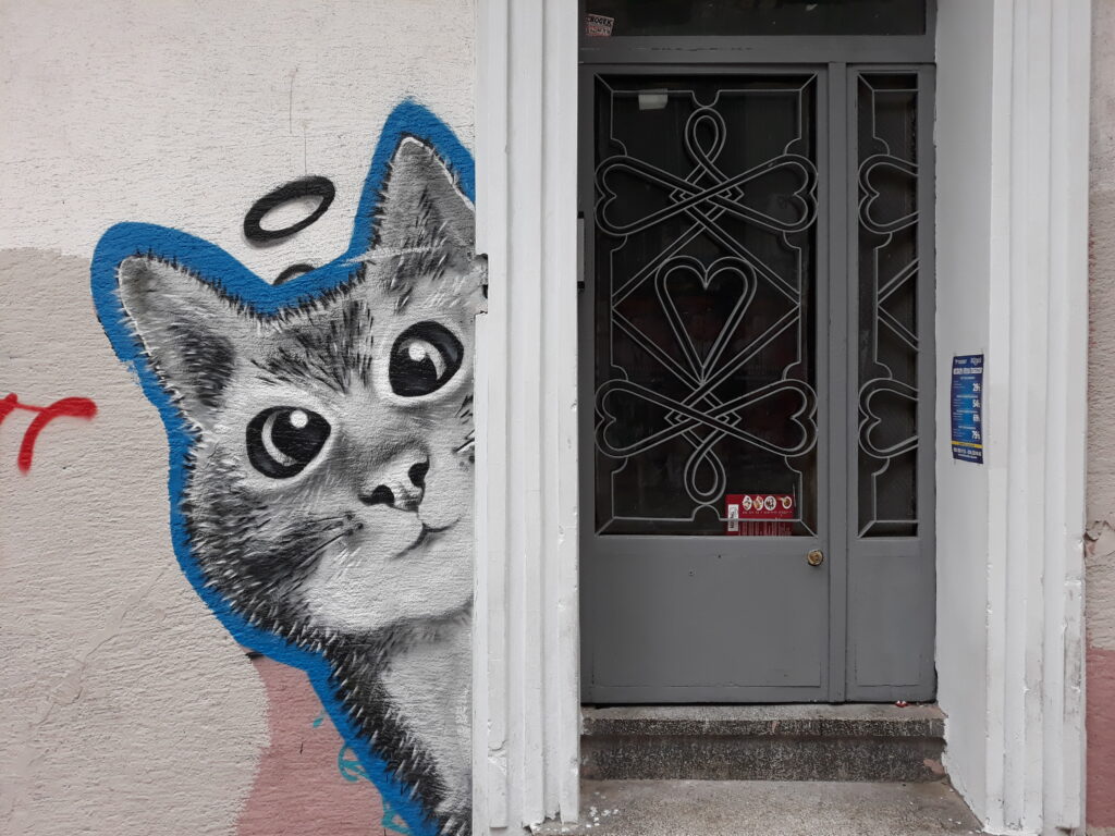 Prophet Muhammed and Cats in Turkey - Inside Out In Istanbul