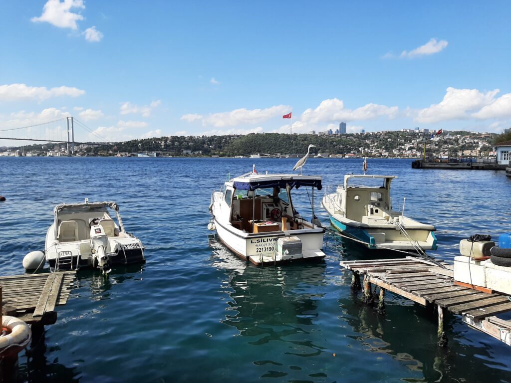 Traditional Turkish Death Rituals - You Are My Sunshine - Inside Out In ...