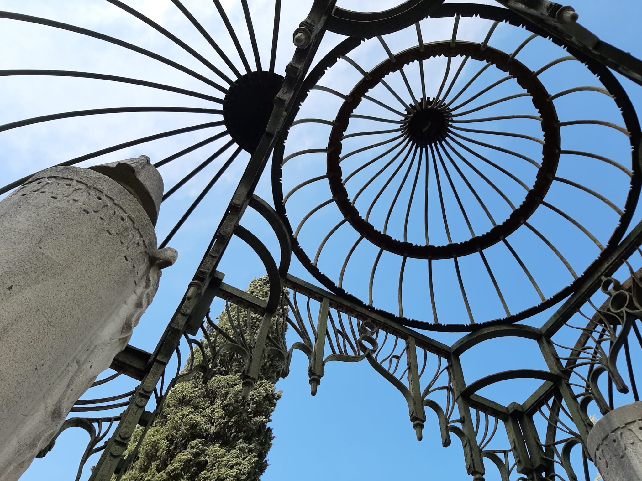 Circumcision in Turkey: The First Cut is the Deepest - Inside Out In ...