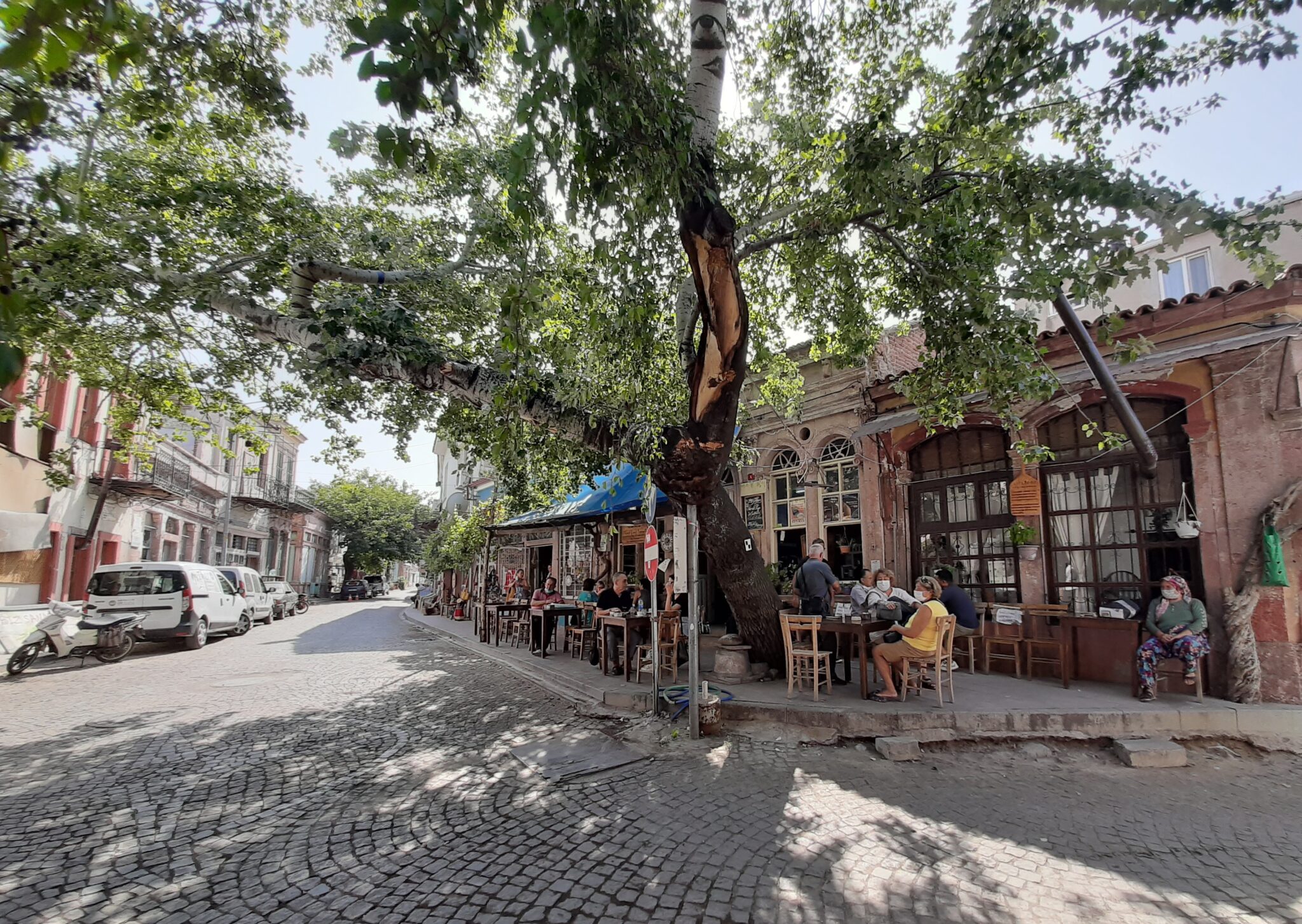 Ayvalik – What to see and do - Inside Out In Istanbul